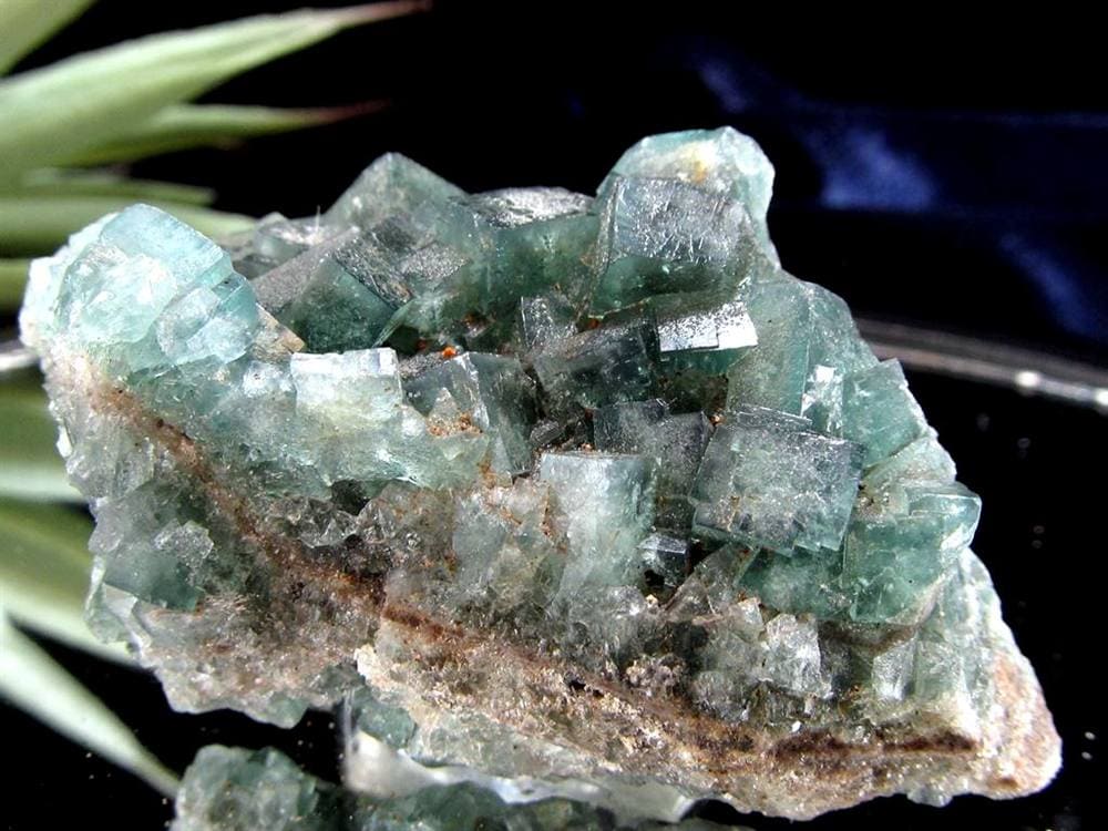 ★デンバー展示会商品★魅惑の逸品★神秘的美しさの結晶群★透明感抜群！強蛍光蛍石★限定1点物★蛍光フローライト結晶原石★【イングランド・ダイアナ ...